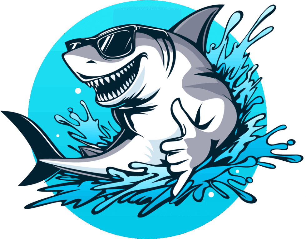 About Shark Bite Car Wash - Shark Bite Car Wash
